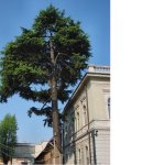Le pietre raccontano